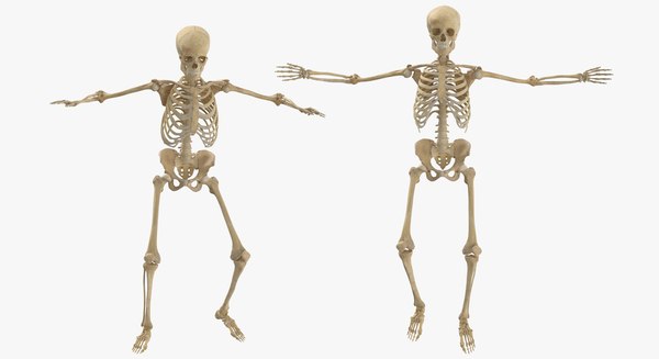 Human Female Skeleton Jumping Poses Collection 01 - 10 models3Dモデル ...