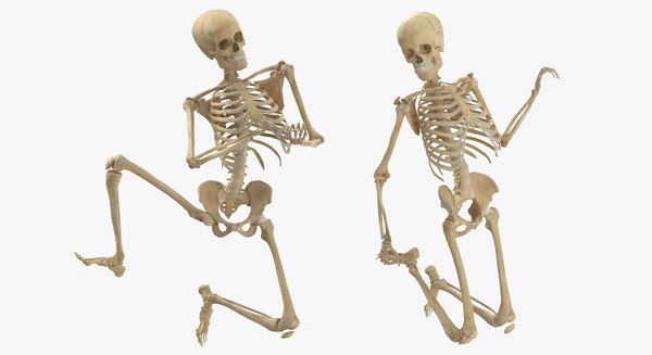 Human Female Skeleton Jumping Poses Collection 01 - 10 models3Dモデル ...