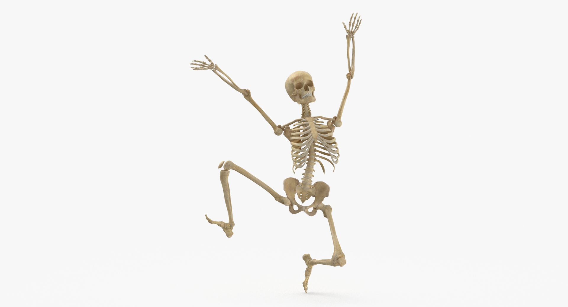 Human Female Skeleton Jumping Poses Collection 01 - 10 models 3D 모델 ...