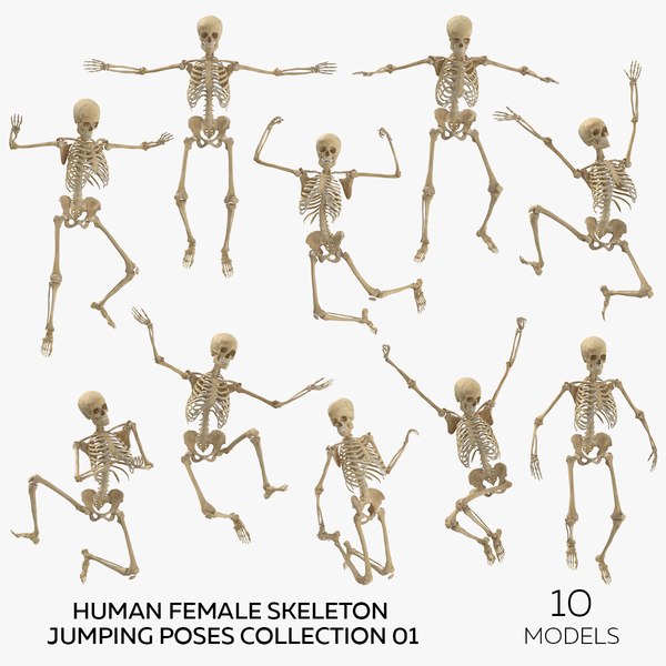 Human Female Skeleton Jumping Poses Collection 01 - 10 models3Dモデル ...