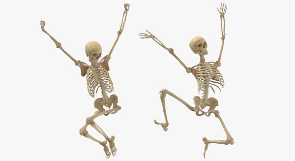 Human Female Skeleton Jumping Poses Collection 01 - 10 models3Dモデル ...