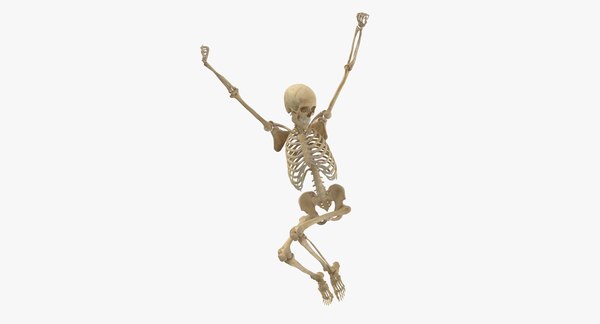 Human Female Skeleton Jumping Poses Collection 01 - 10 models 3D 모델 ...
