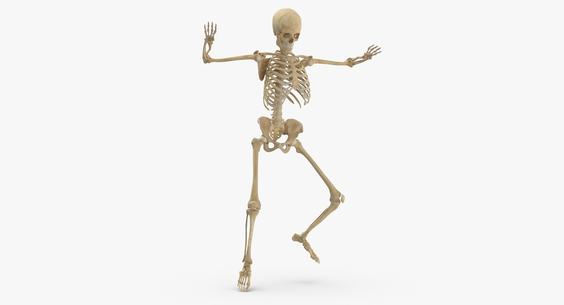 Human Female Skeleton Jumping Poses Collection 01 - 10 models 3D 모델 ...