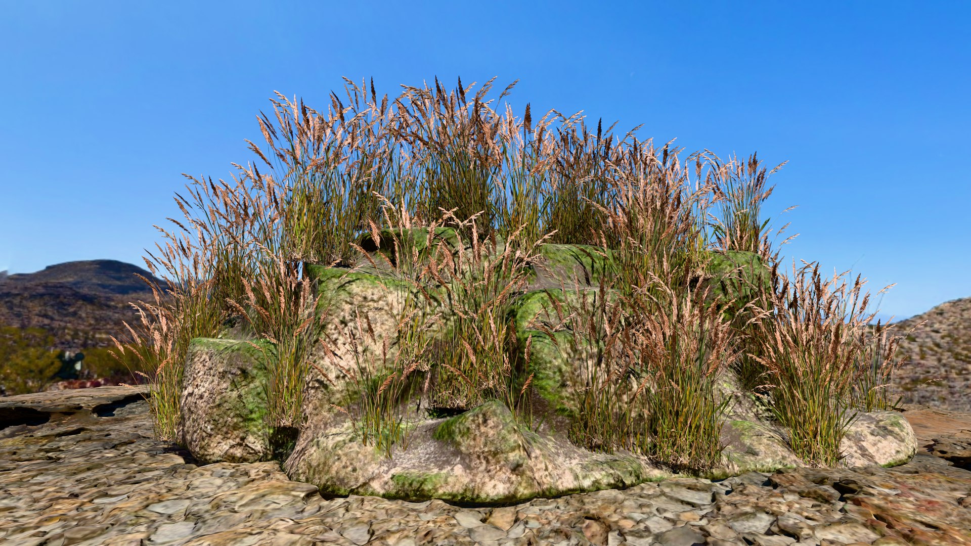 3D Nature Rock Vegetation Pack - TurboSquid 2408664