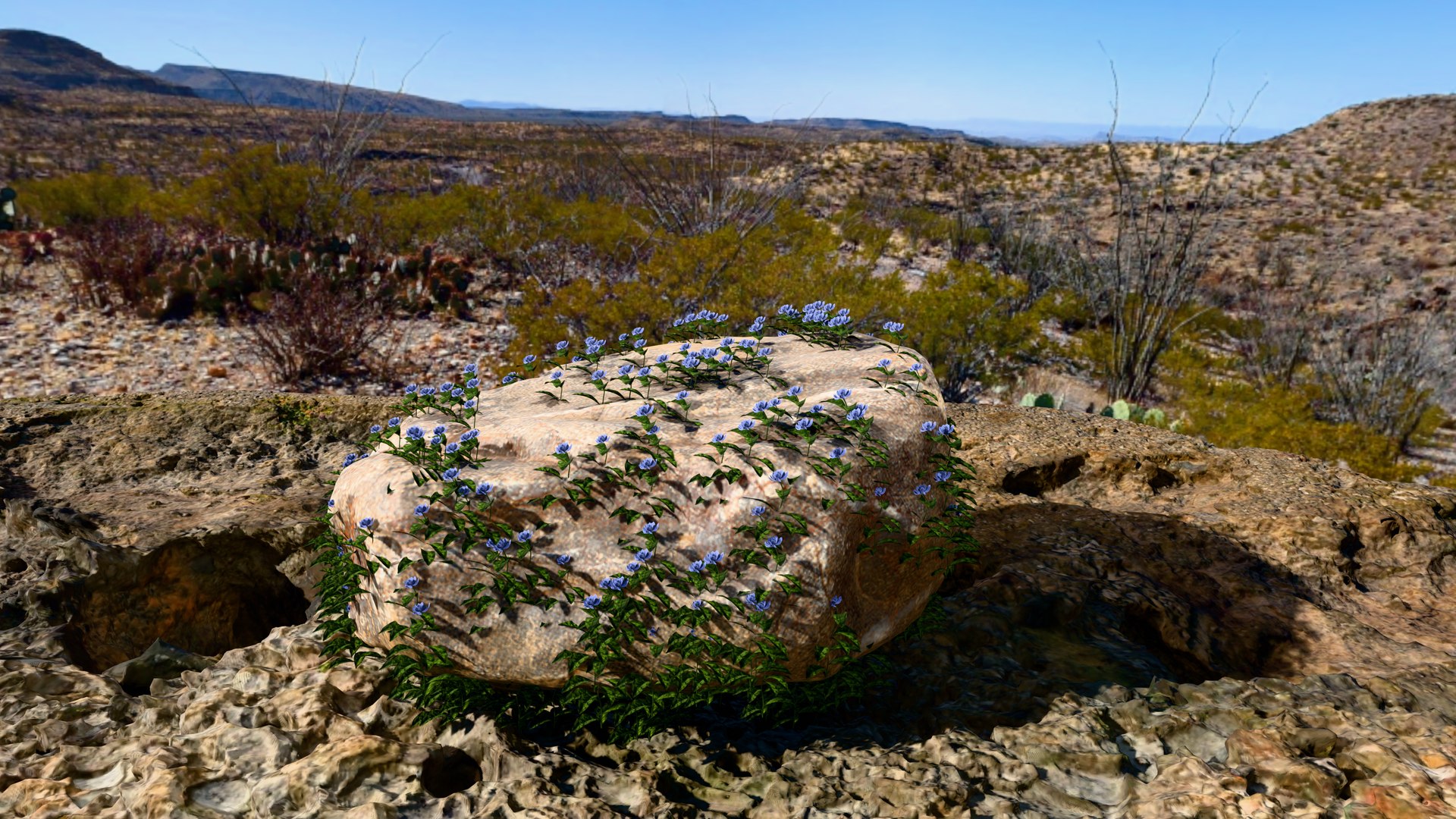 3D Nature Rock Vegetation Pack - TurboSquid 2408664