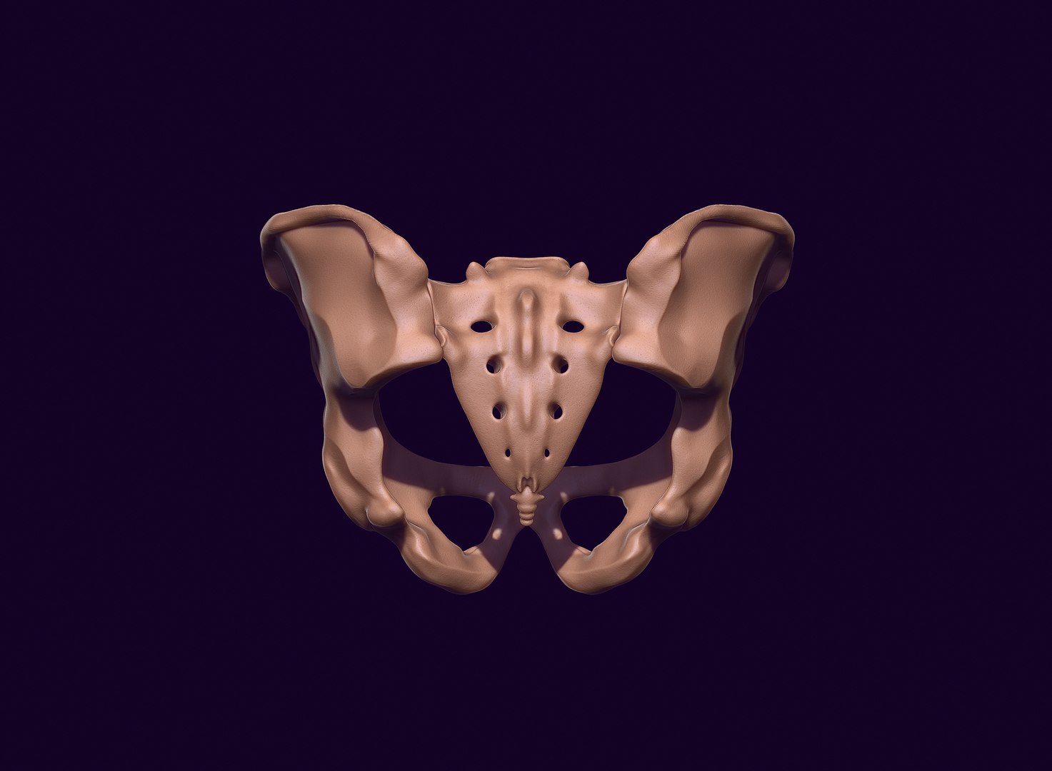 Human Pelvis Printable 3D Model - TurboSquid 1873261