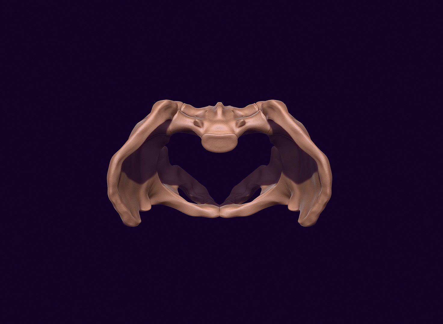 Human Pelvis Printable 3D Model - TurboSquid 1873261
