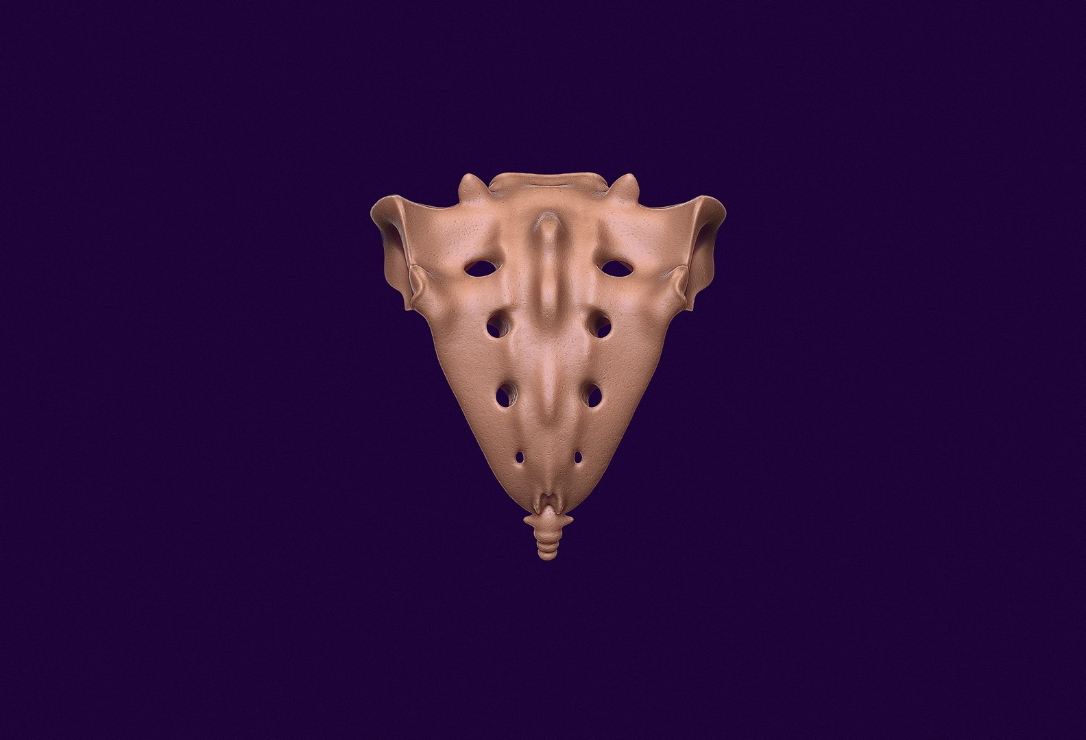 Human Pelvis Printable 3D Model - TurboSquid 1873261