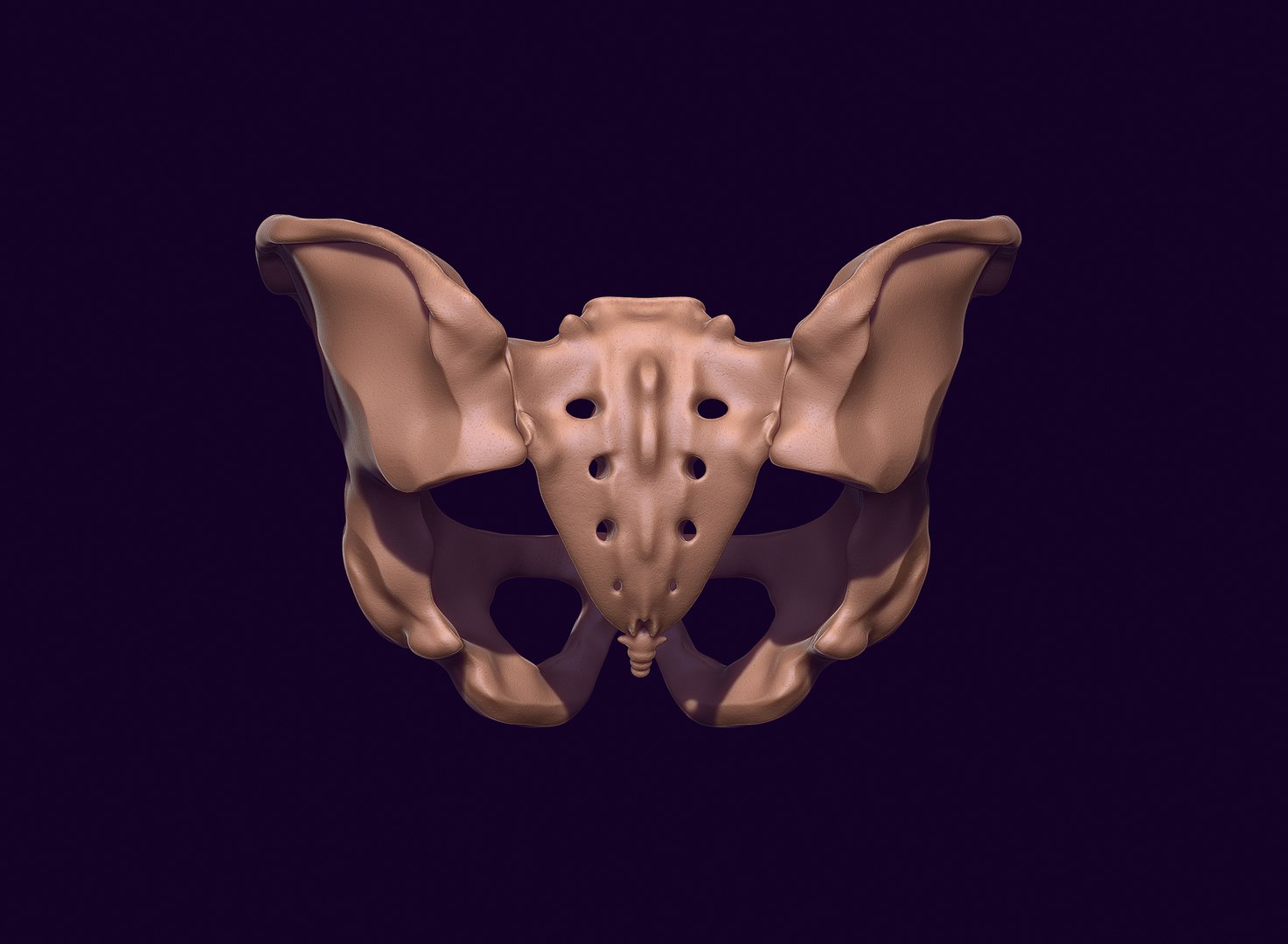 Human Pelvis Printable 3D Model - TurboSquid 1873261