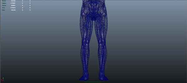 Lymph Nodes 3D Models for Download | TurboSquid