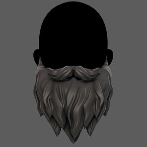 3D Beard Models | TurboSquid