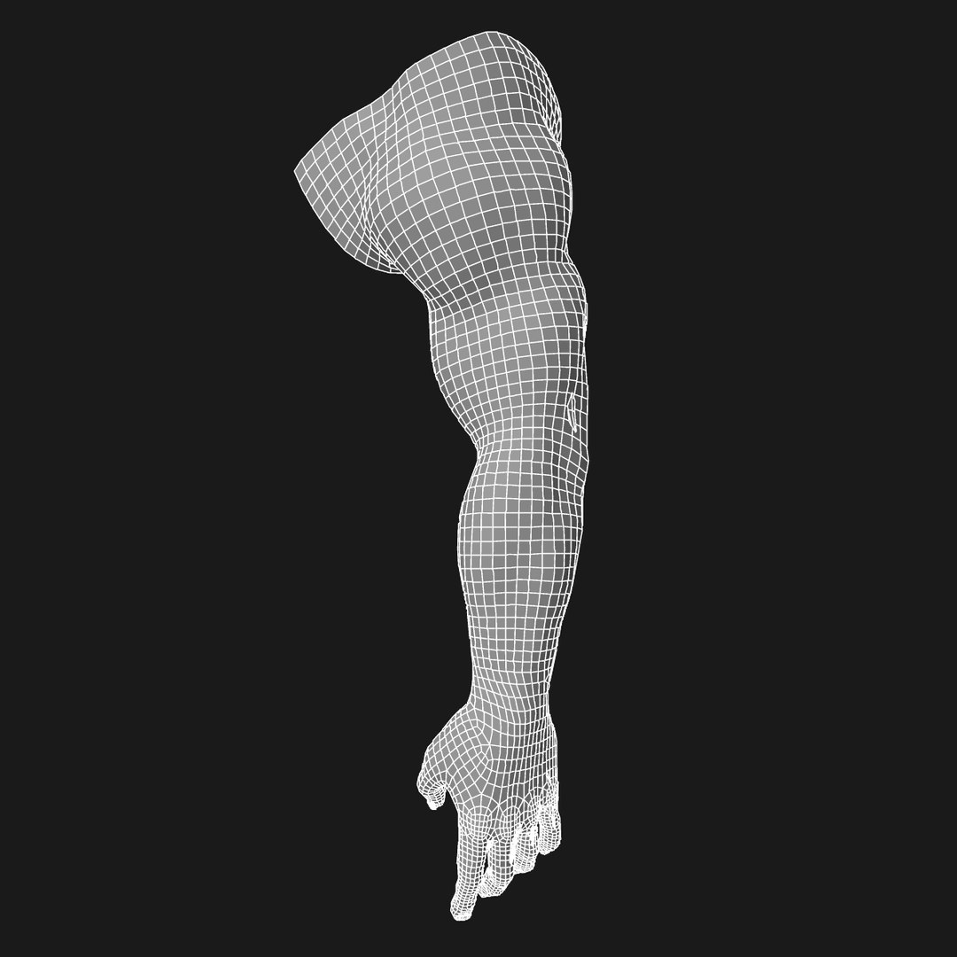 3d ma muscle arm medical edition