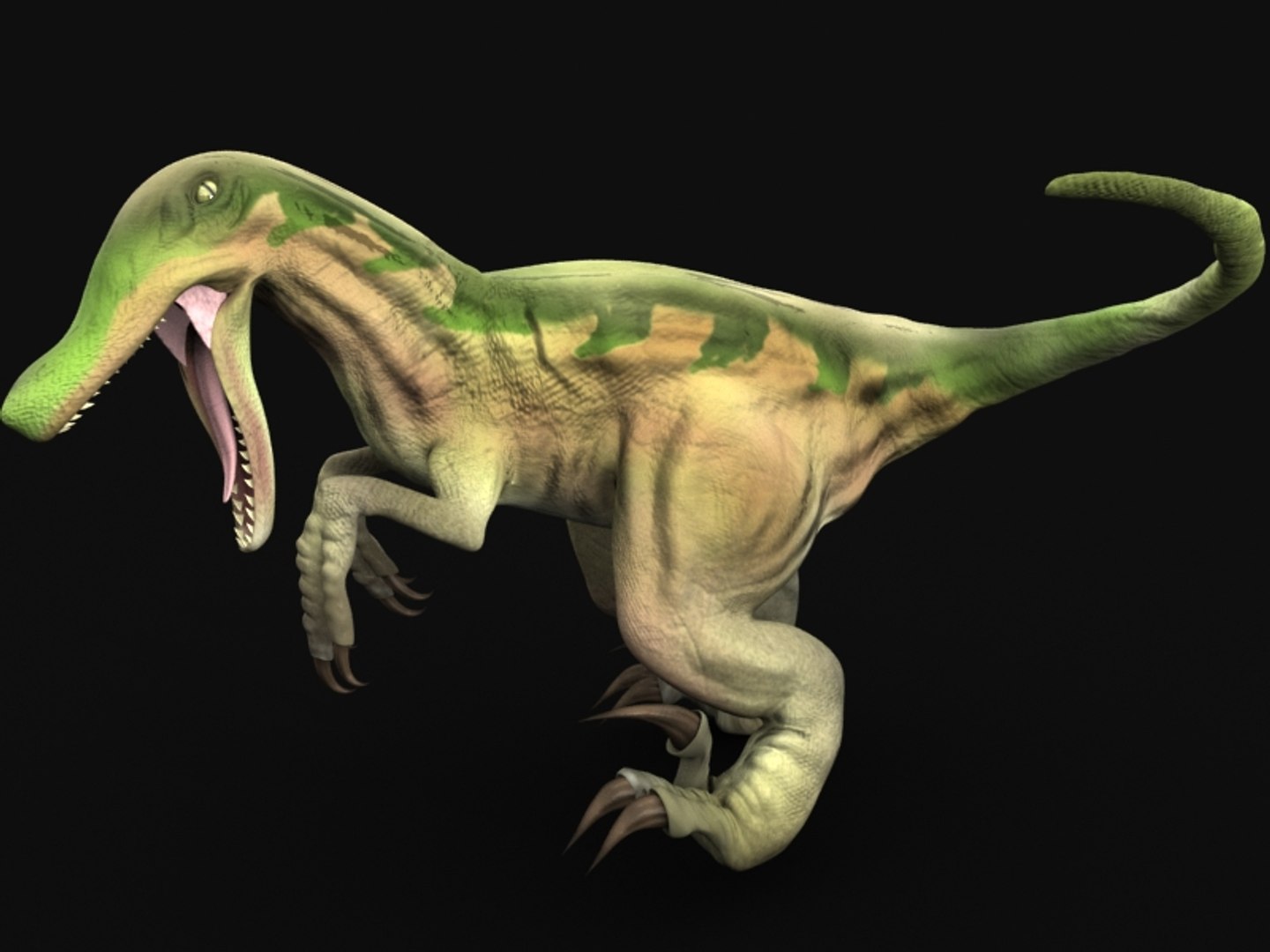 Velociraptor Raptor Max