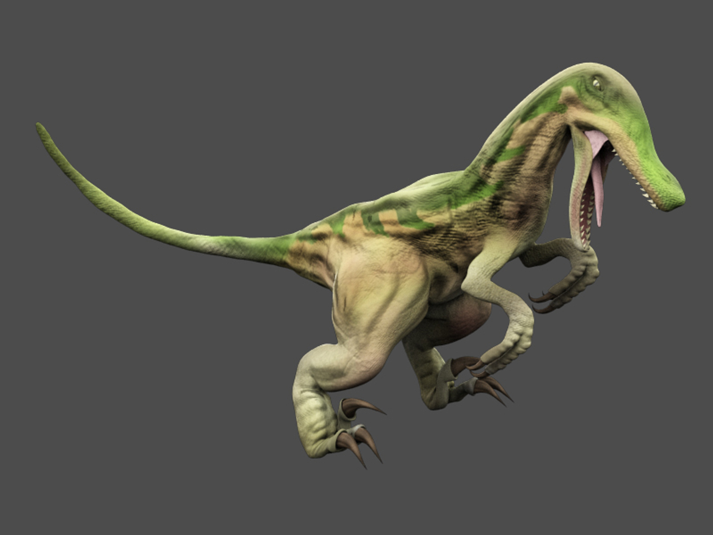 Velociraptor Raptor Max