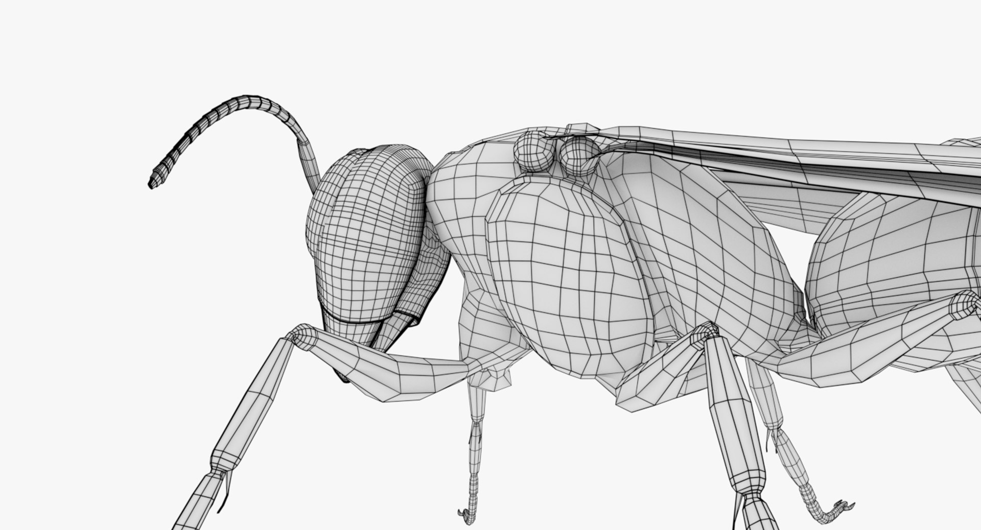 3D wasp - TurboSquid 1423103