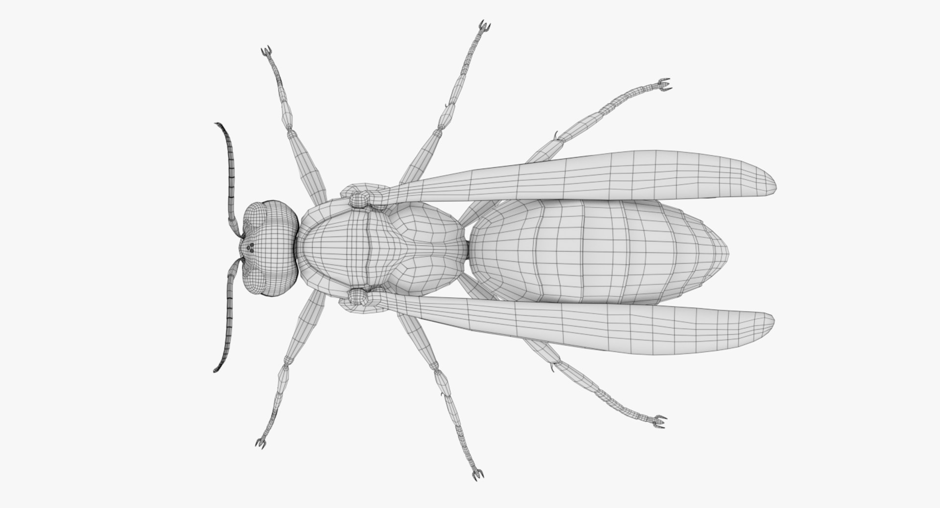 3D wasp - TurboSquid 1423103