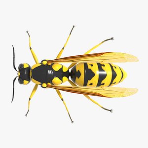 3D wasp - TurboSquid 1266587