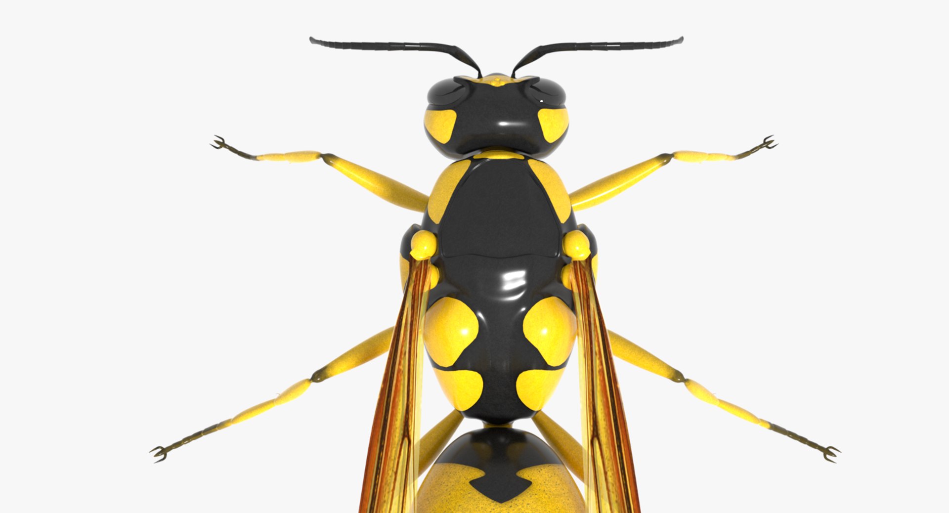 3D Wasp - TurboSquid 1423103