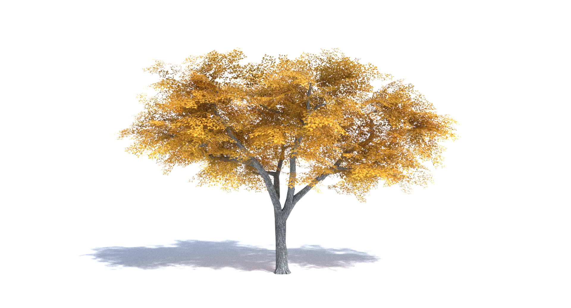 Fall Tree 3ds