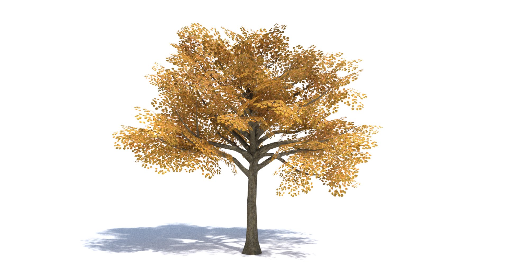 Fall Tree 3ds