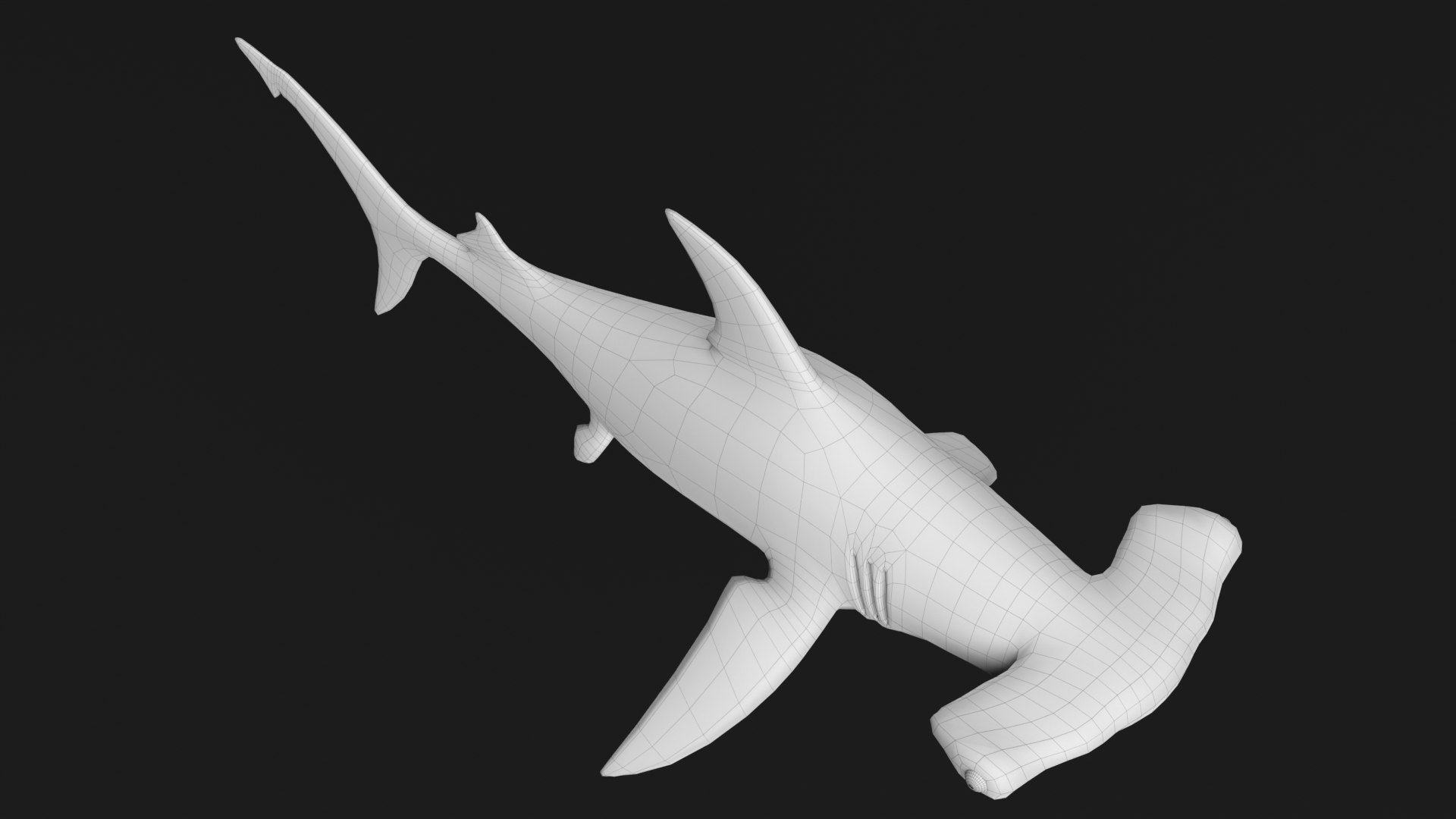 Hammerhead Shark 3D Model - TurboSquid 2230135