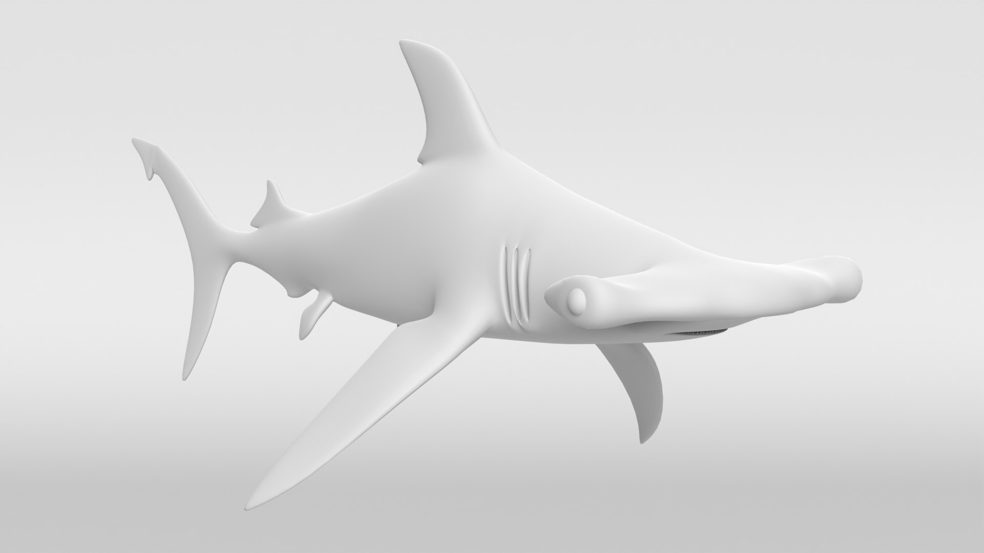 Hammerhead Shark 3D Model - TurboSquid 2230135