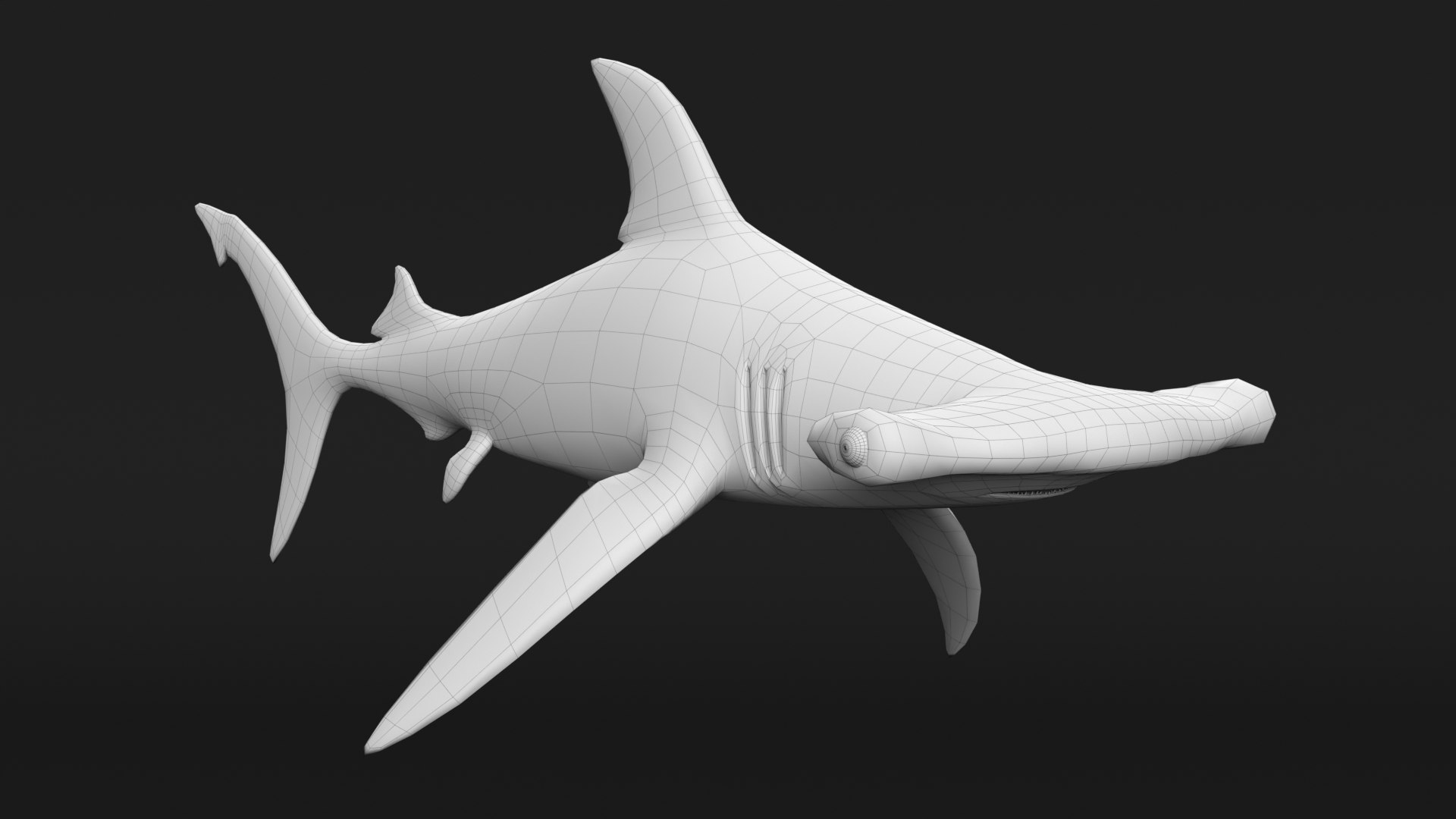 Hammerhead Shark 3D Model - TurboSquid 2230135