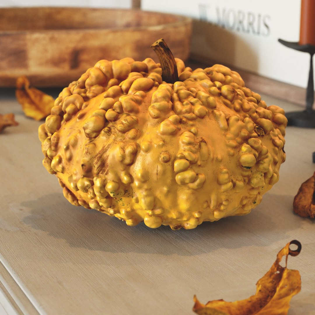 3D 005 Pumpkin Model - TurboSquid 1992225