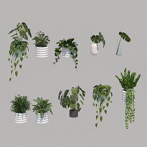 Free 3D Botanic Models | TurboSquid