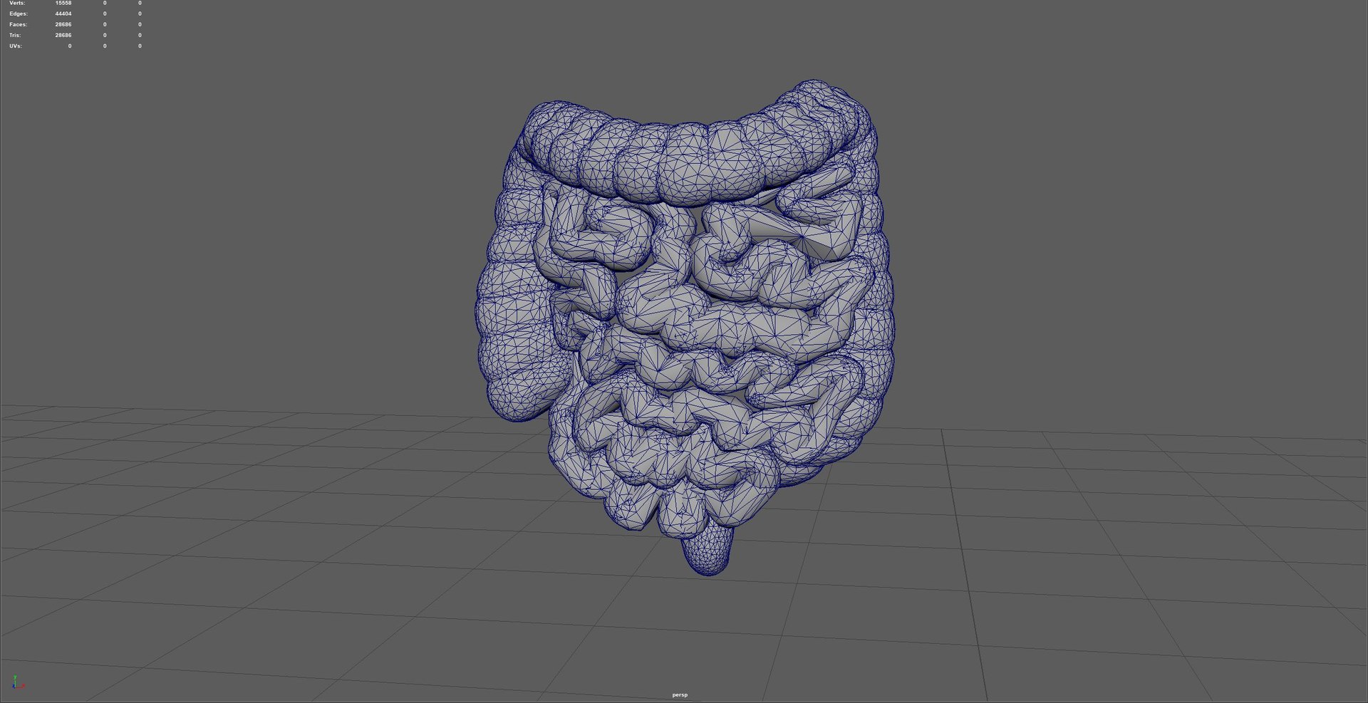 Digestive System 3D Model - TurboSquid 1834128