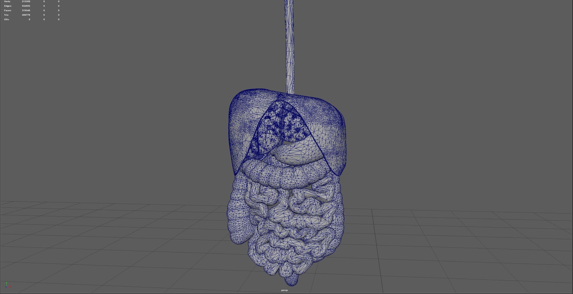 Digestive System 3D Model - TurboSquid 1834128