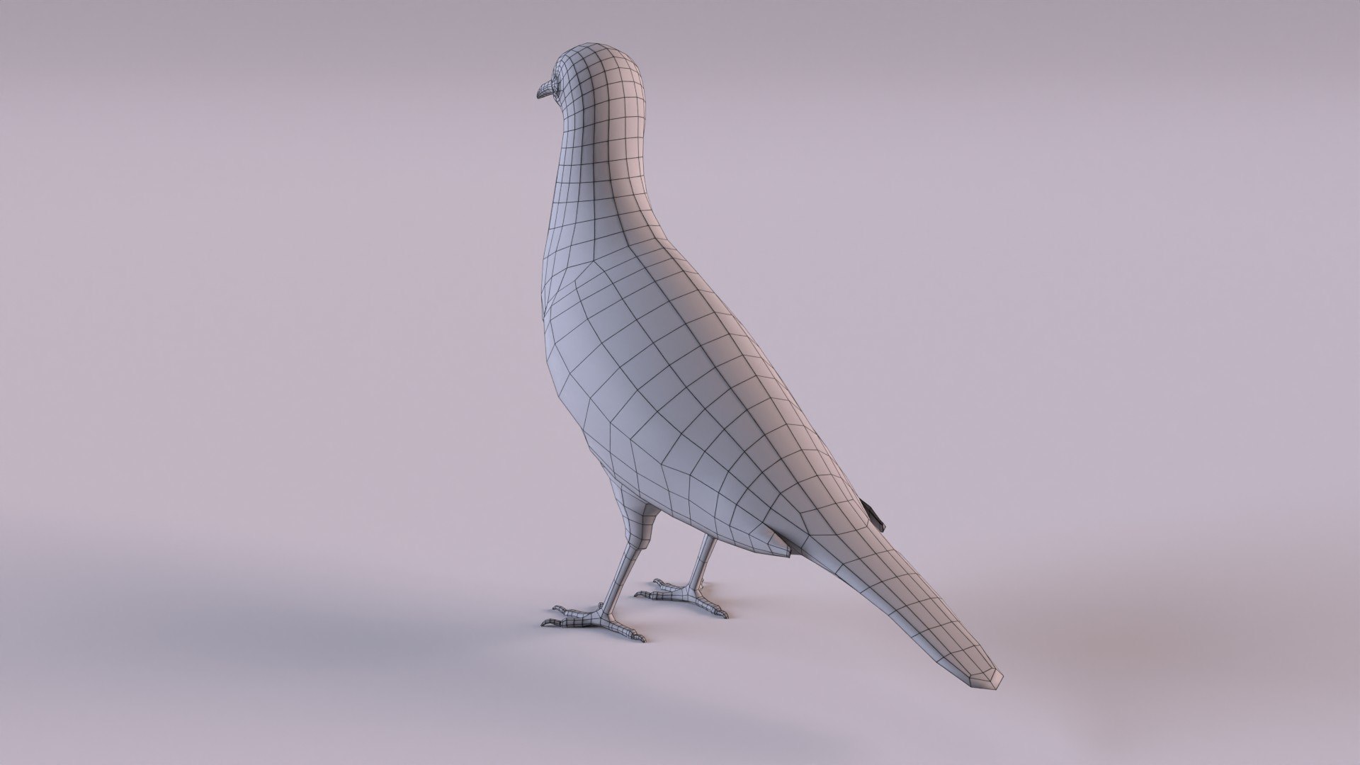 Spotted Dove Model - TurboSquid 1642581