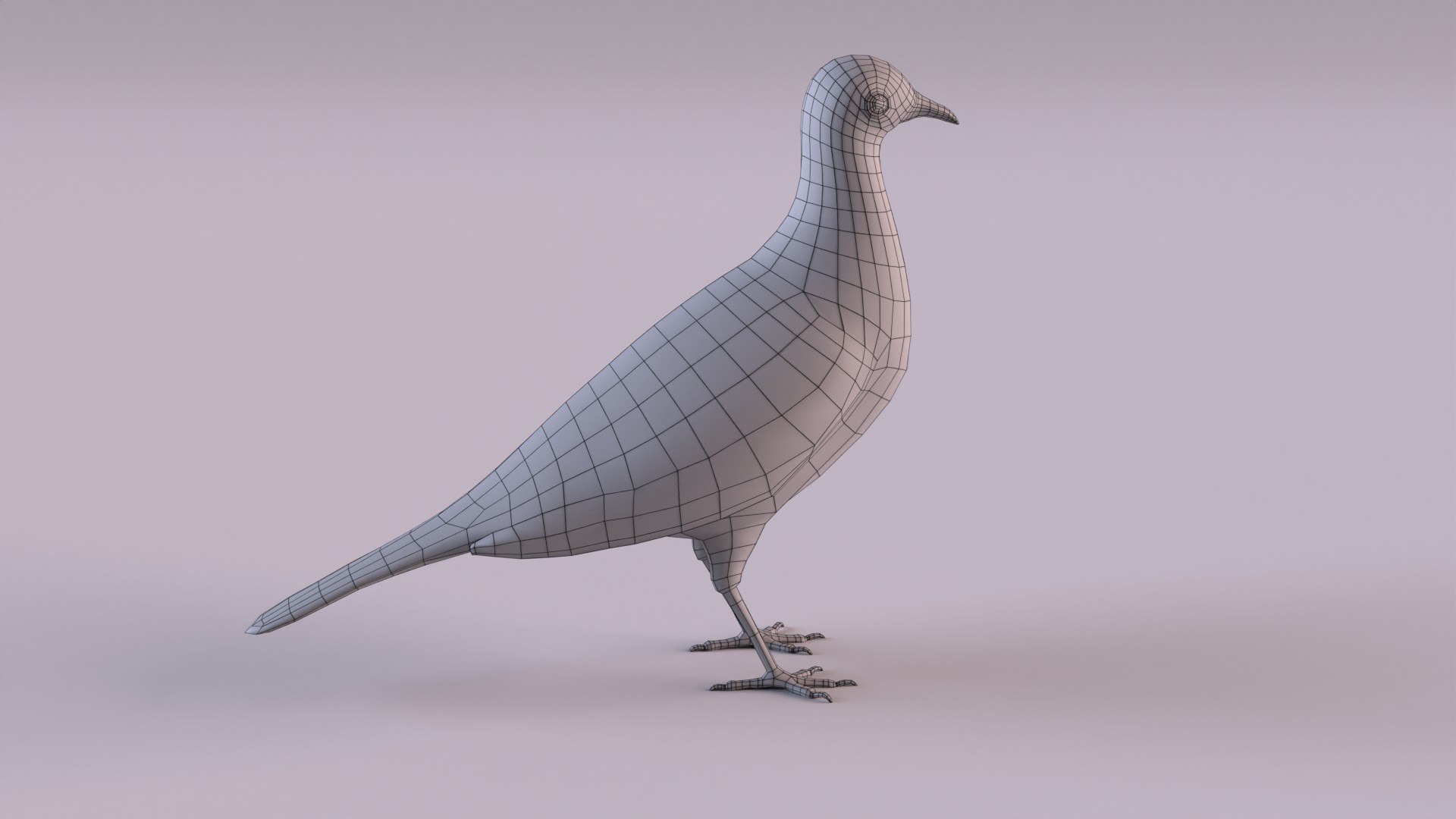 Spotted Dove Model - TurboSquid 1642581