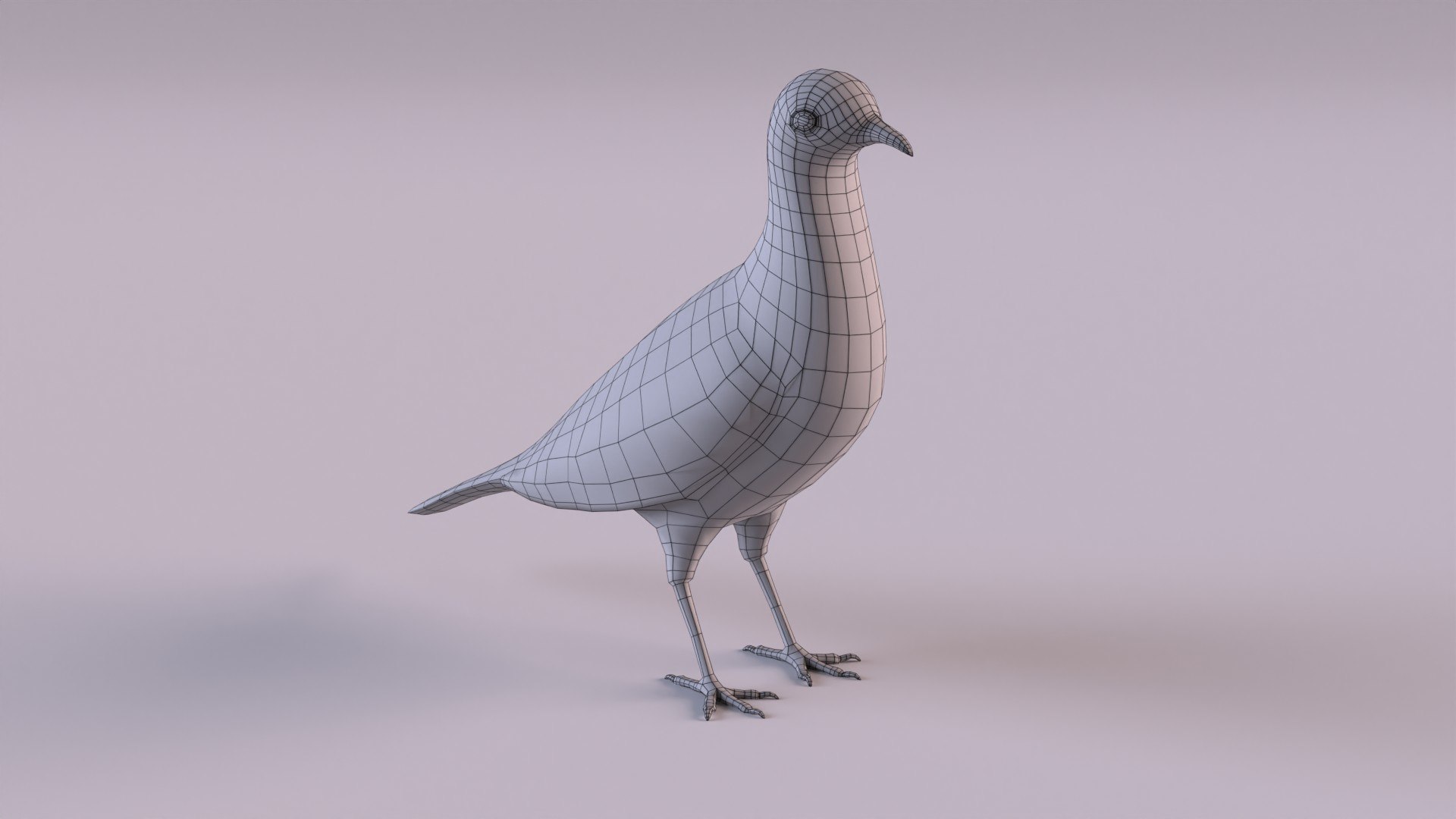 Spotted Dove Model - TurboSquid 1642581