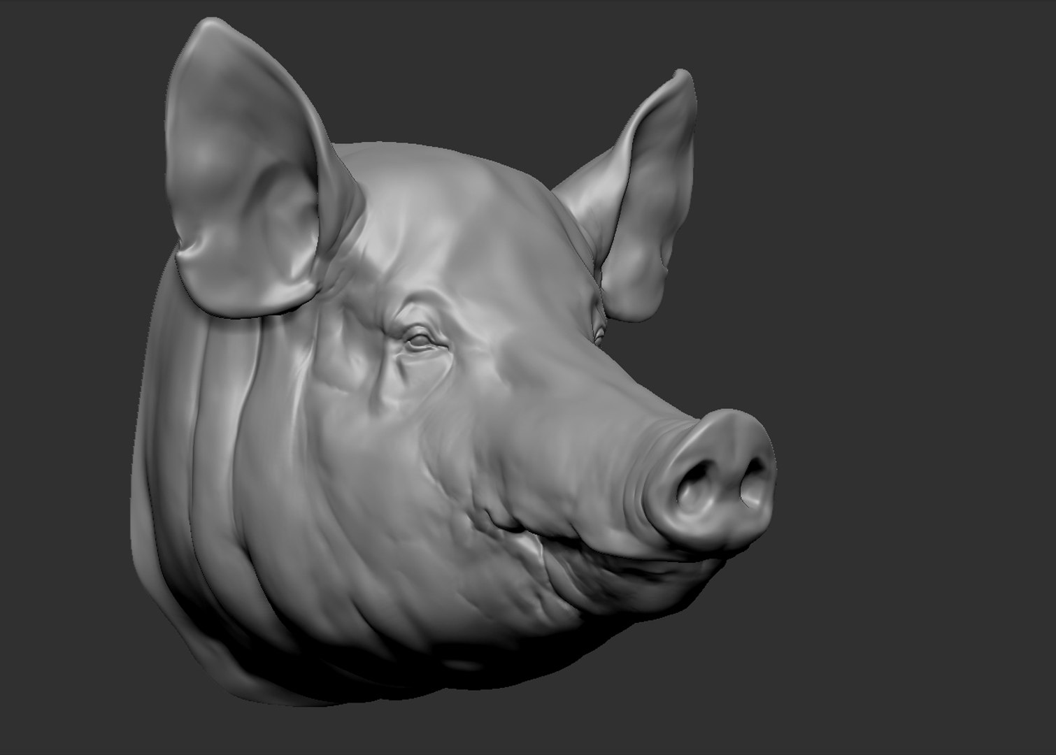3D Model Pig Realistic Head - TurboSquid 1290565