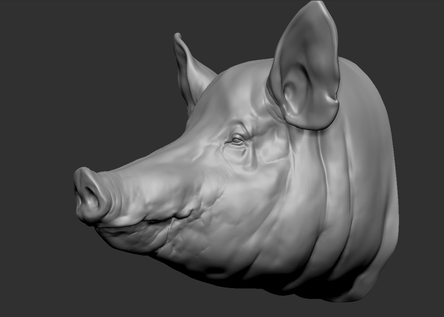 3D Model Pig Realistic Head - TurboSquid 1290565