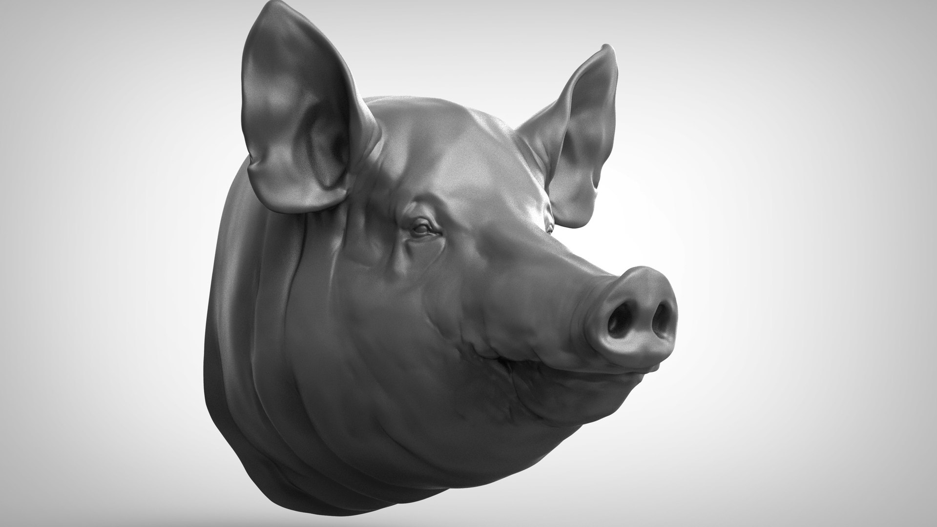 3D Model Pig Realistic Head - TurboSquid 1290565