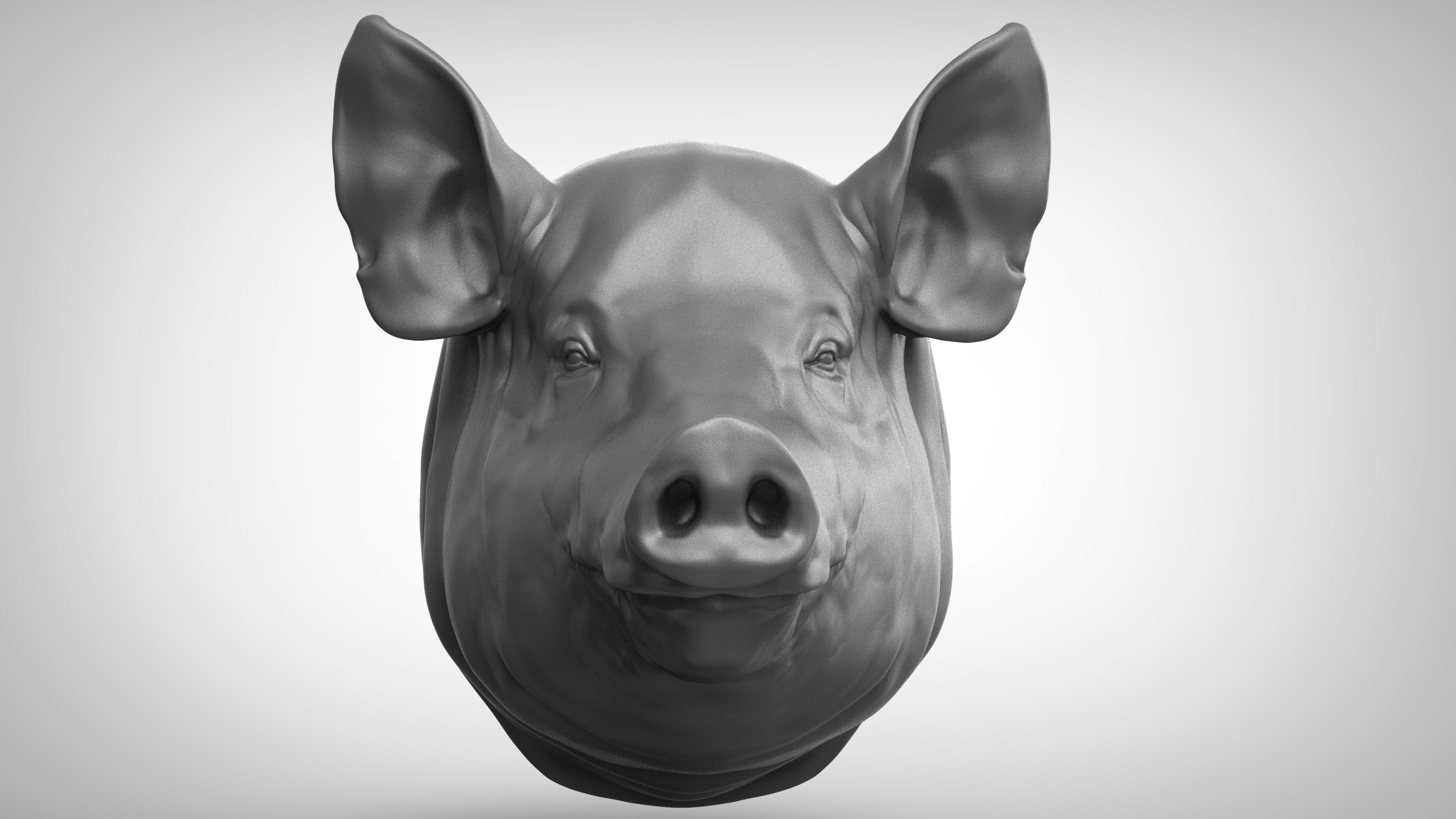 3D model pig realistic head - TurboSquid 1290565