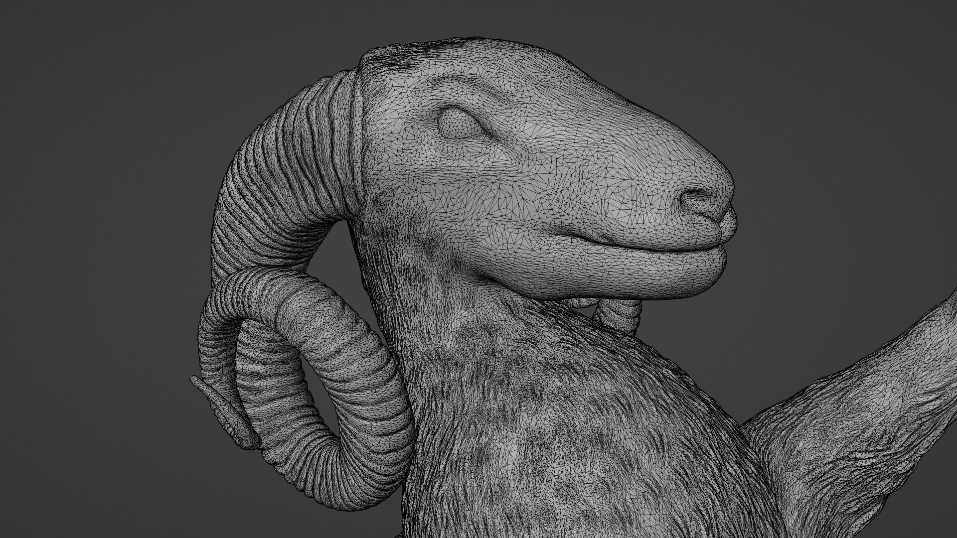 3D Model Ram Animal 3D Model - TurboSquid 2160068