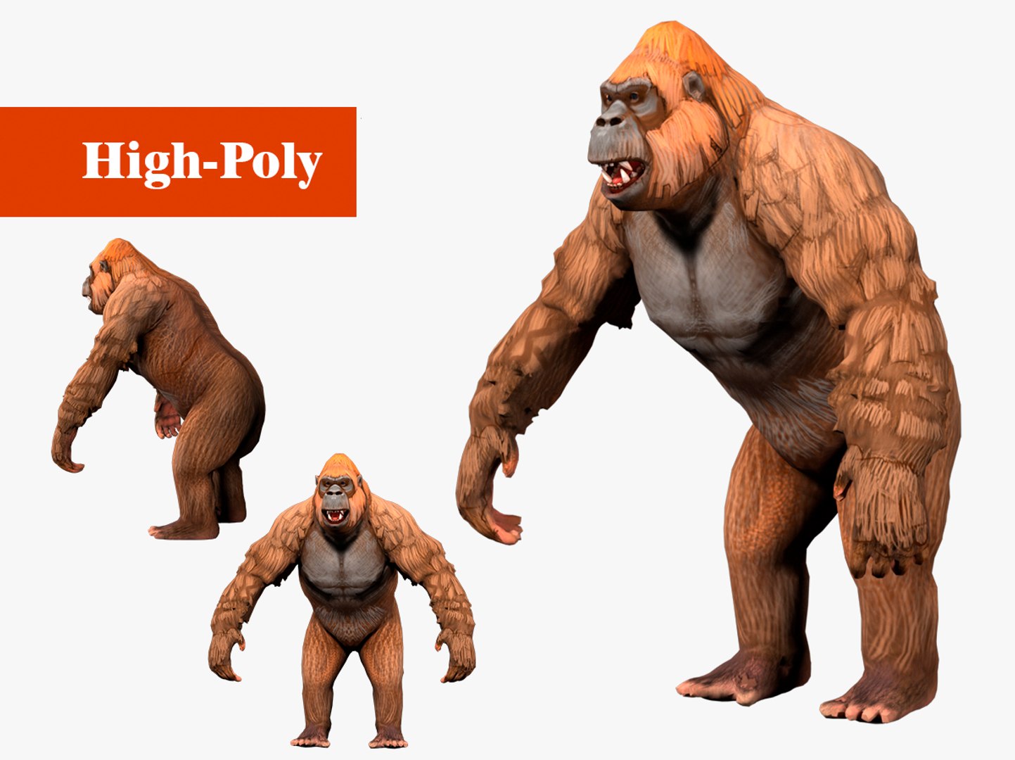 3D Gorilla Bear Rig High-poly Textured - TurboSquid 2340440