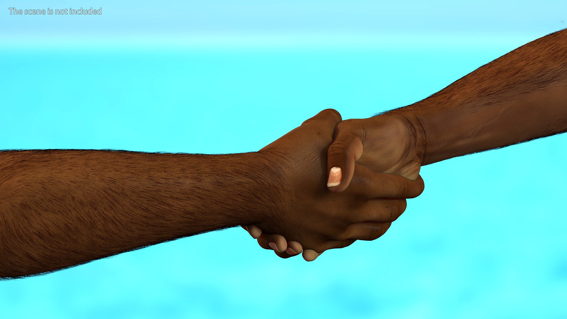 Handshake African Man Hands With Fur Rigged 3D - TurboSquid 2111543