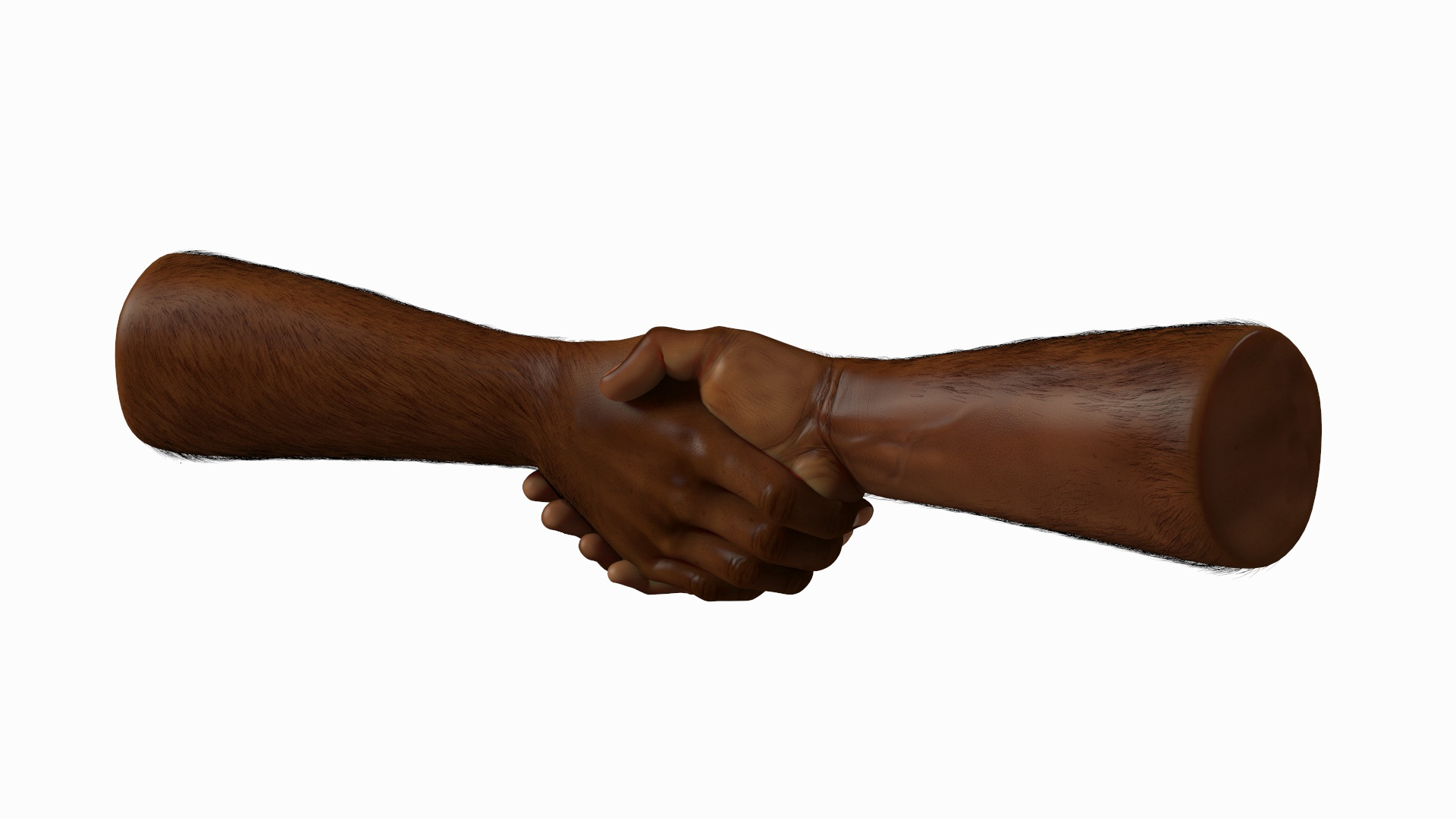 Handshake African Man Hands with Fur Rigged 3D - TurboSquid 2111543