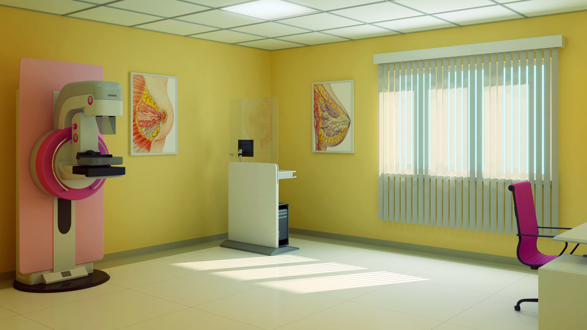 3d Model Mammography Room