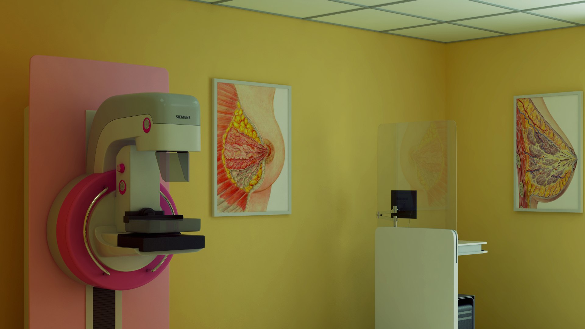 3d Model Mammography Room