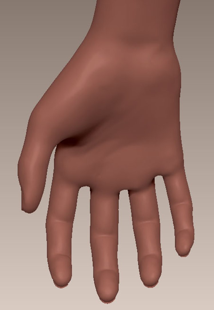 hand arm 3d model