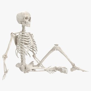 skeleton moving animation