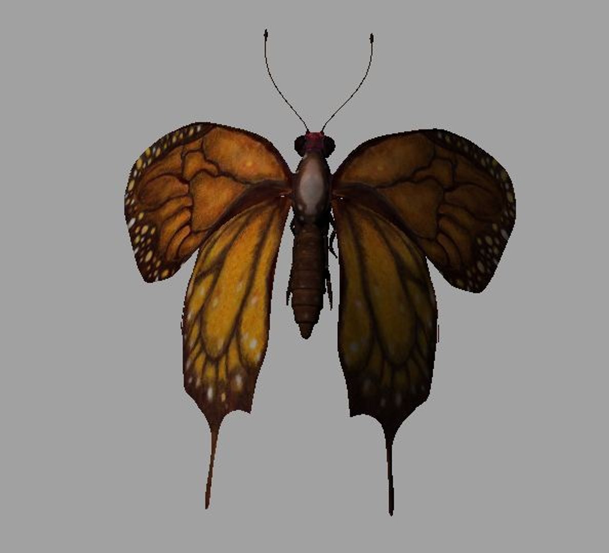 Butterfly 3D - TurboSquid 1472366