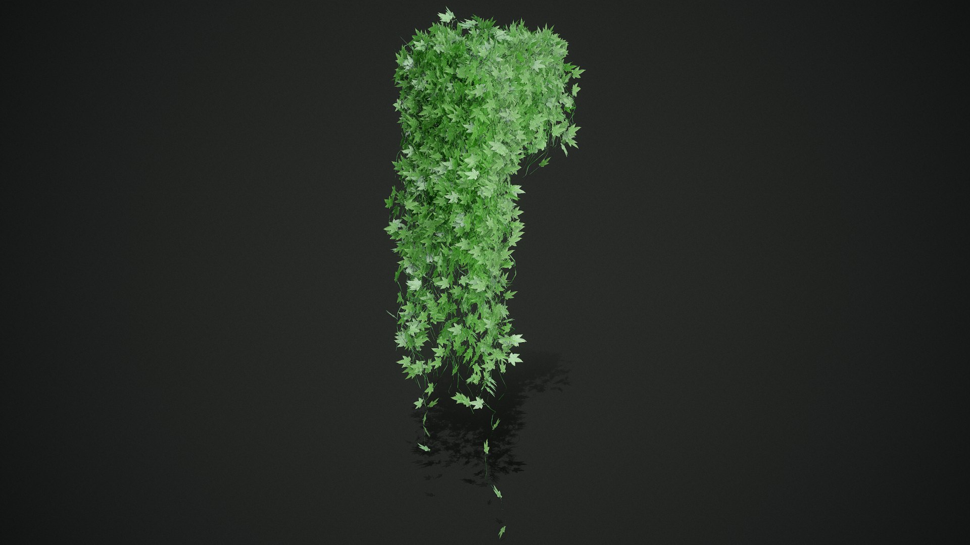 Vine Plant Nature 3D - TurboSquid 1619324