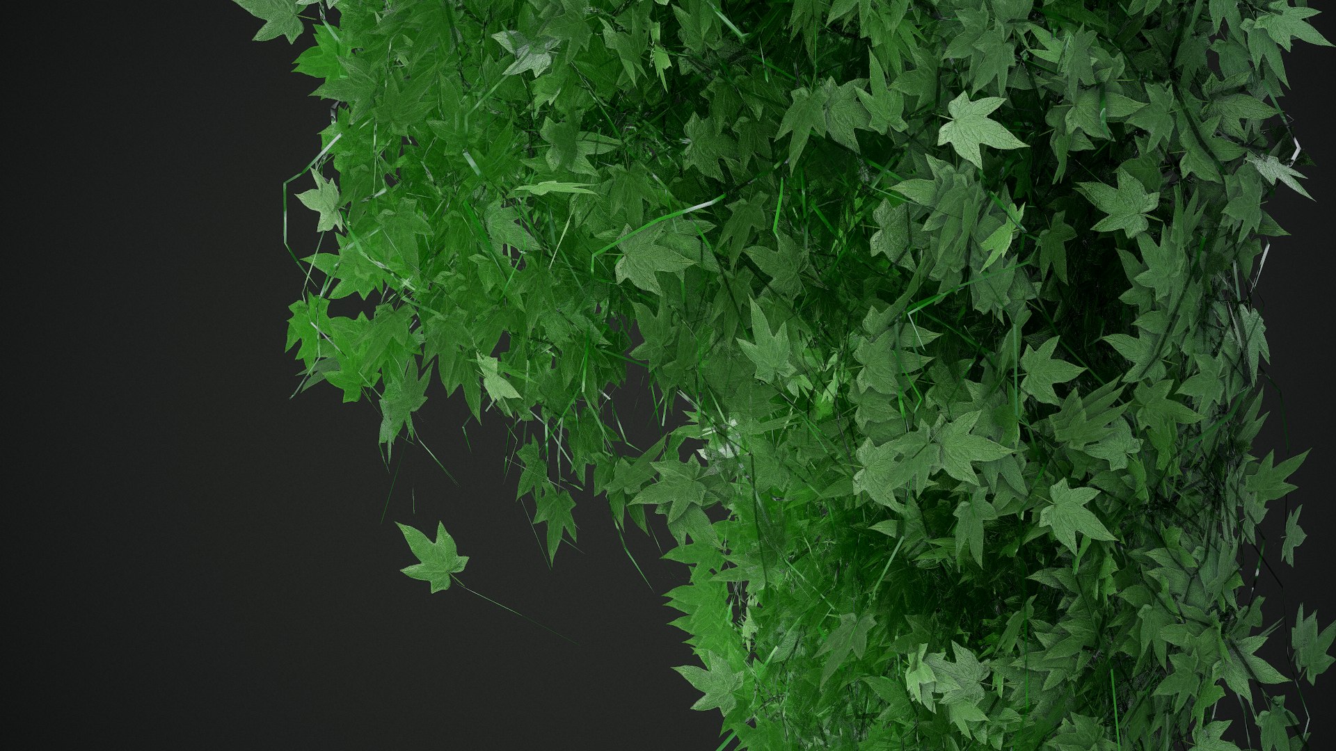 Vine Plant Nature 3D - TurboSquid 1619324