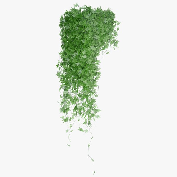 Vine Blender Models for Download | TurboSquid